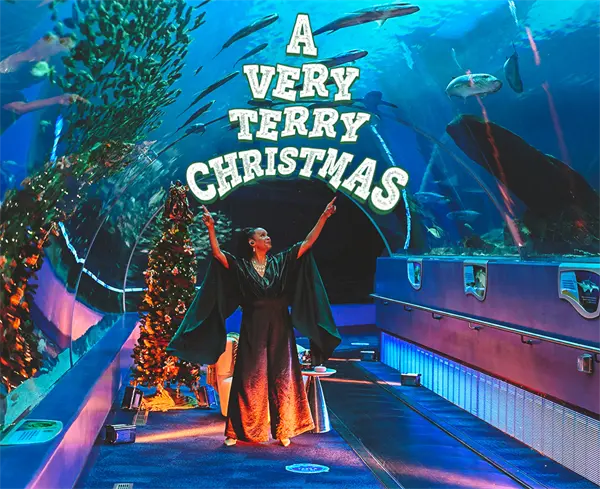 A Very Terry Christmas // Nov 27–Dec 31, 2020 // Alliance Theatre ...